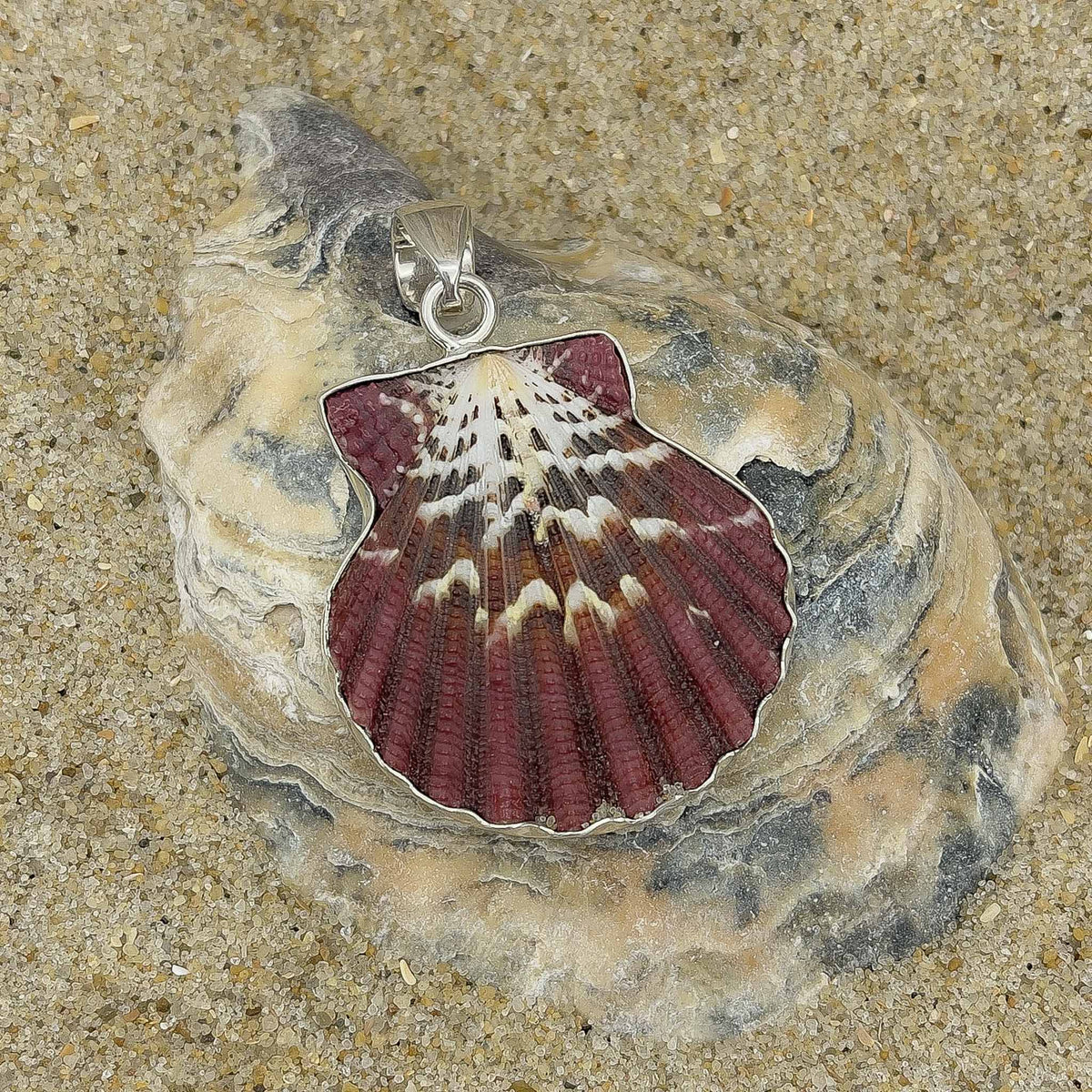 Charles Albert® Pectin Shell Pendant – BEACH TREASURES