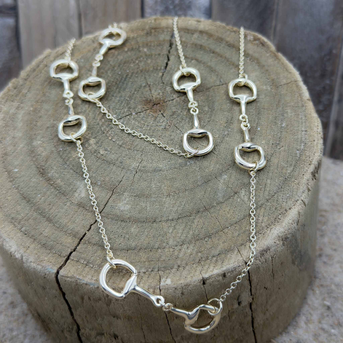 Horse Bit Gold Long Chain Necklace – BEACH TREASURES